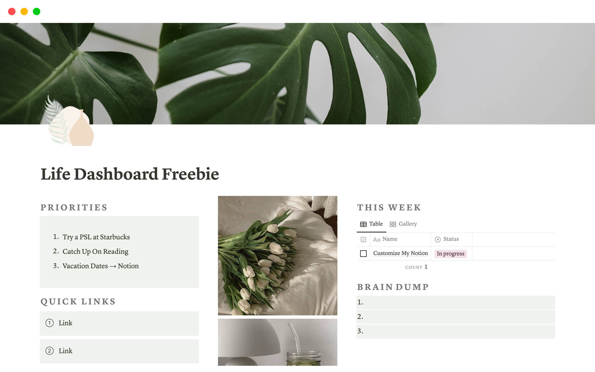 Life Dashboard Freebie | Notion Template