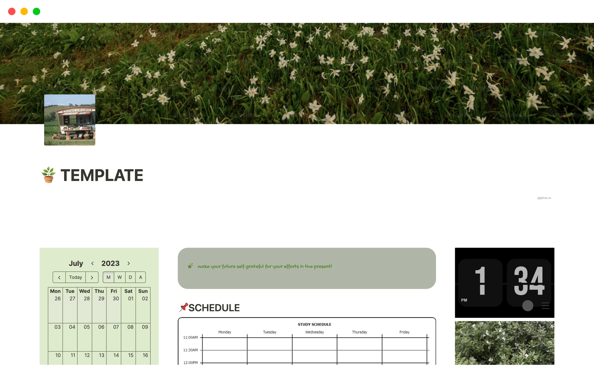 green template for student | Notion Template
