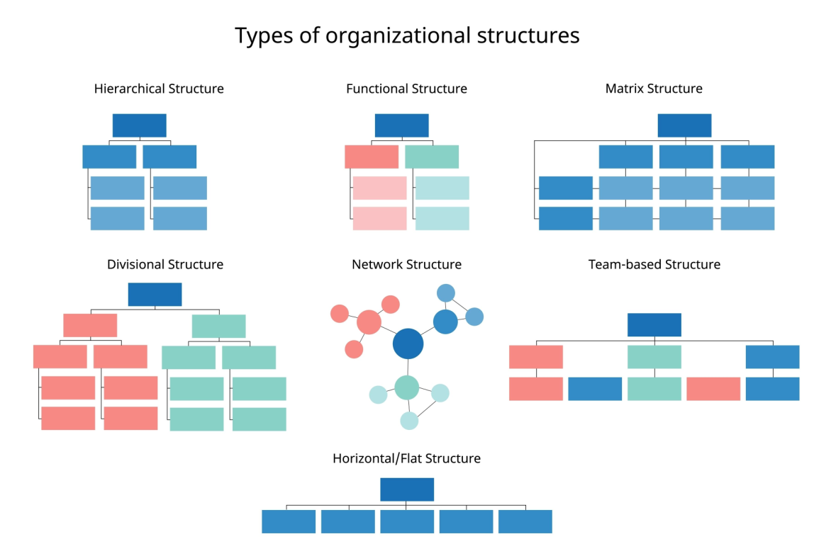 7 organizational structures: Which is best for your business?