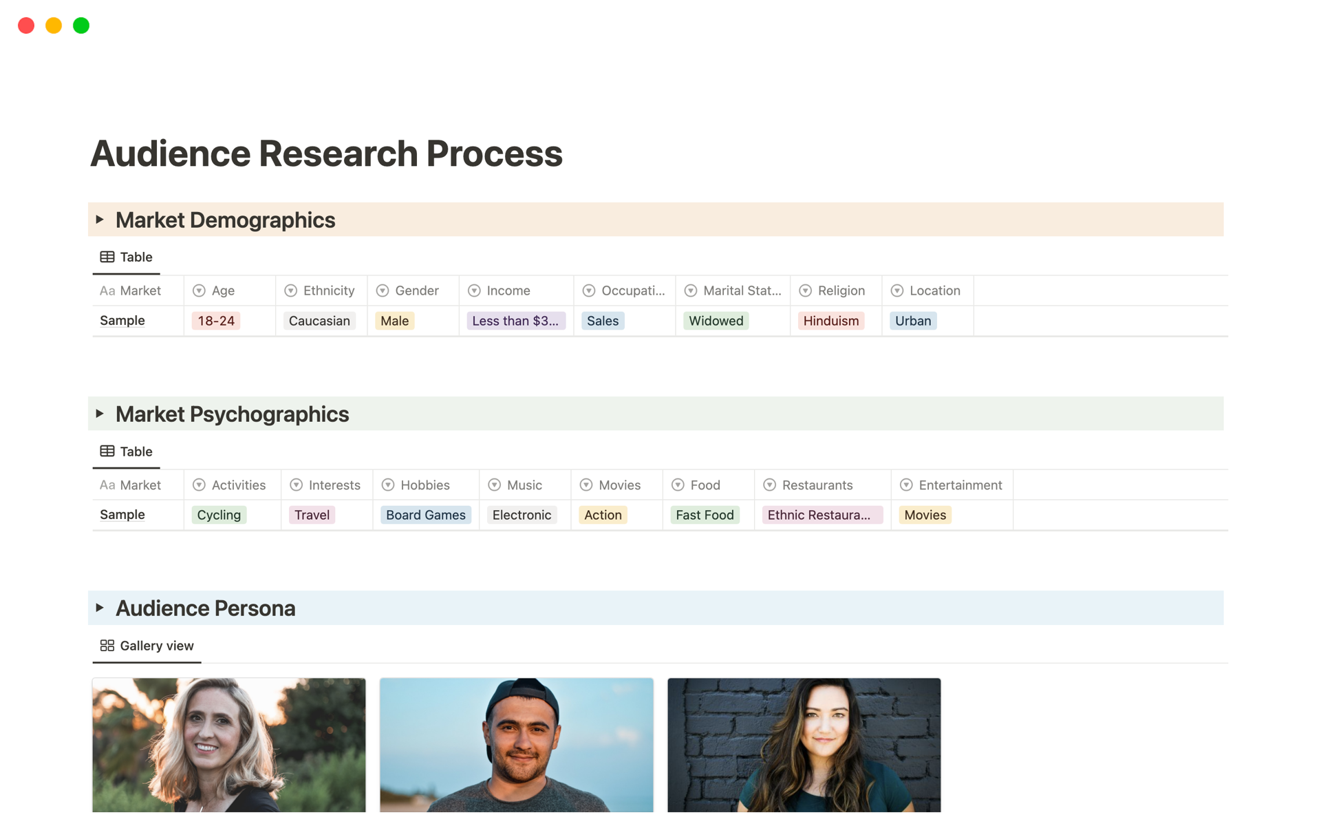 Audience Research Process | Notion Template