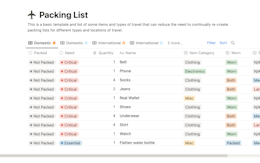 Packing List Notion Template