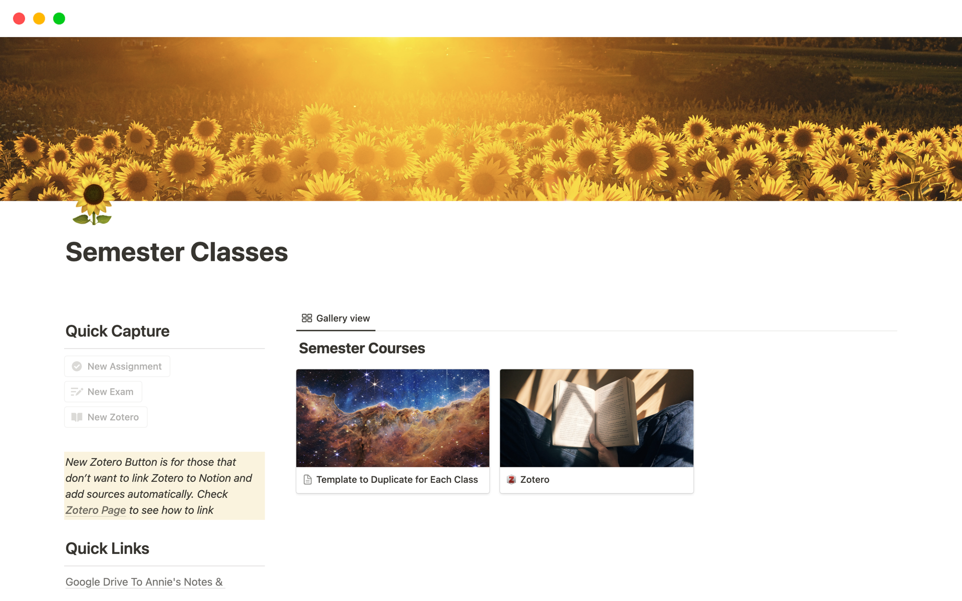 Semester Classes | Notion Template