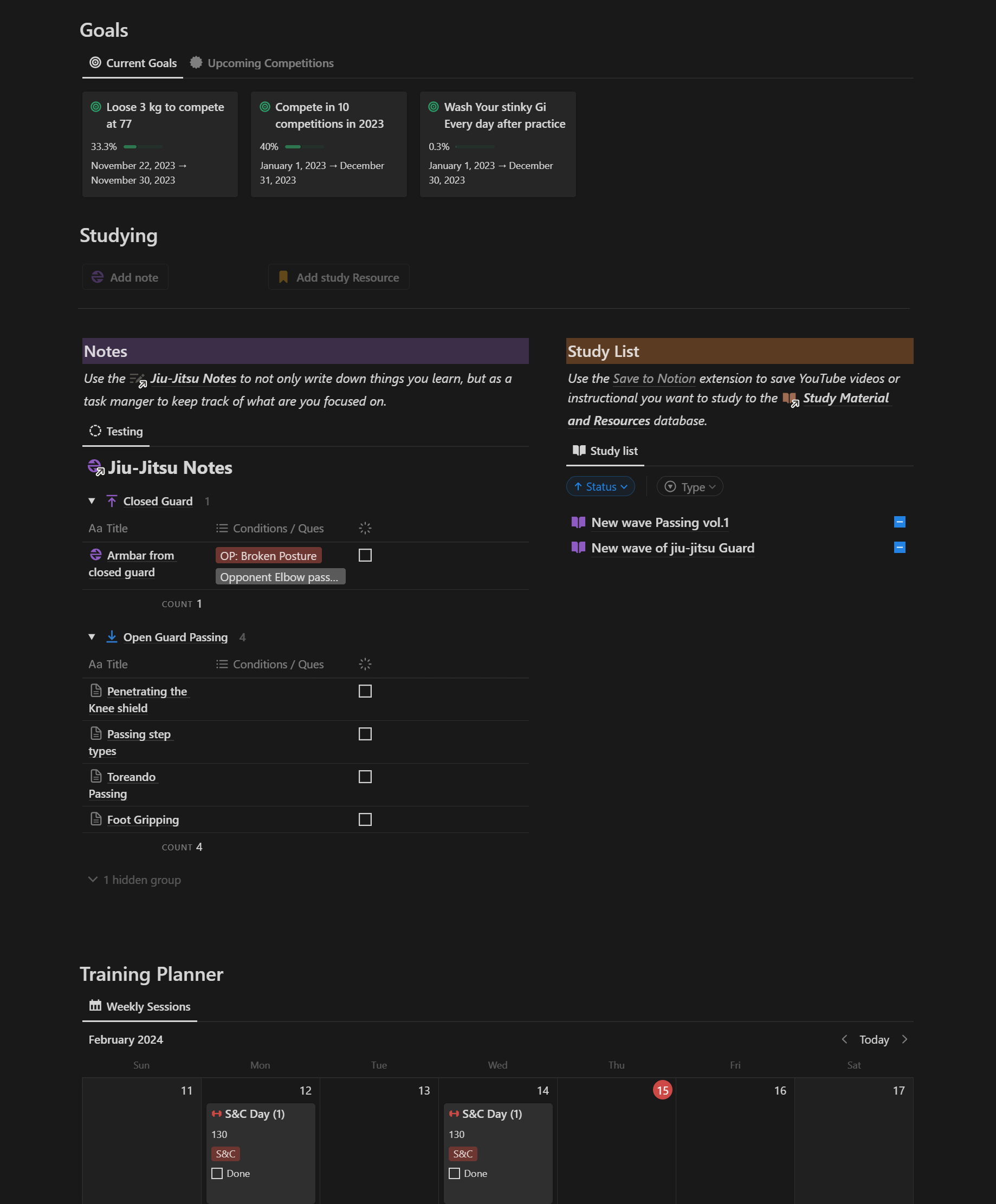 Jiu Jitsu Journal Template | Notion Marketplace