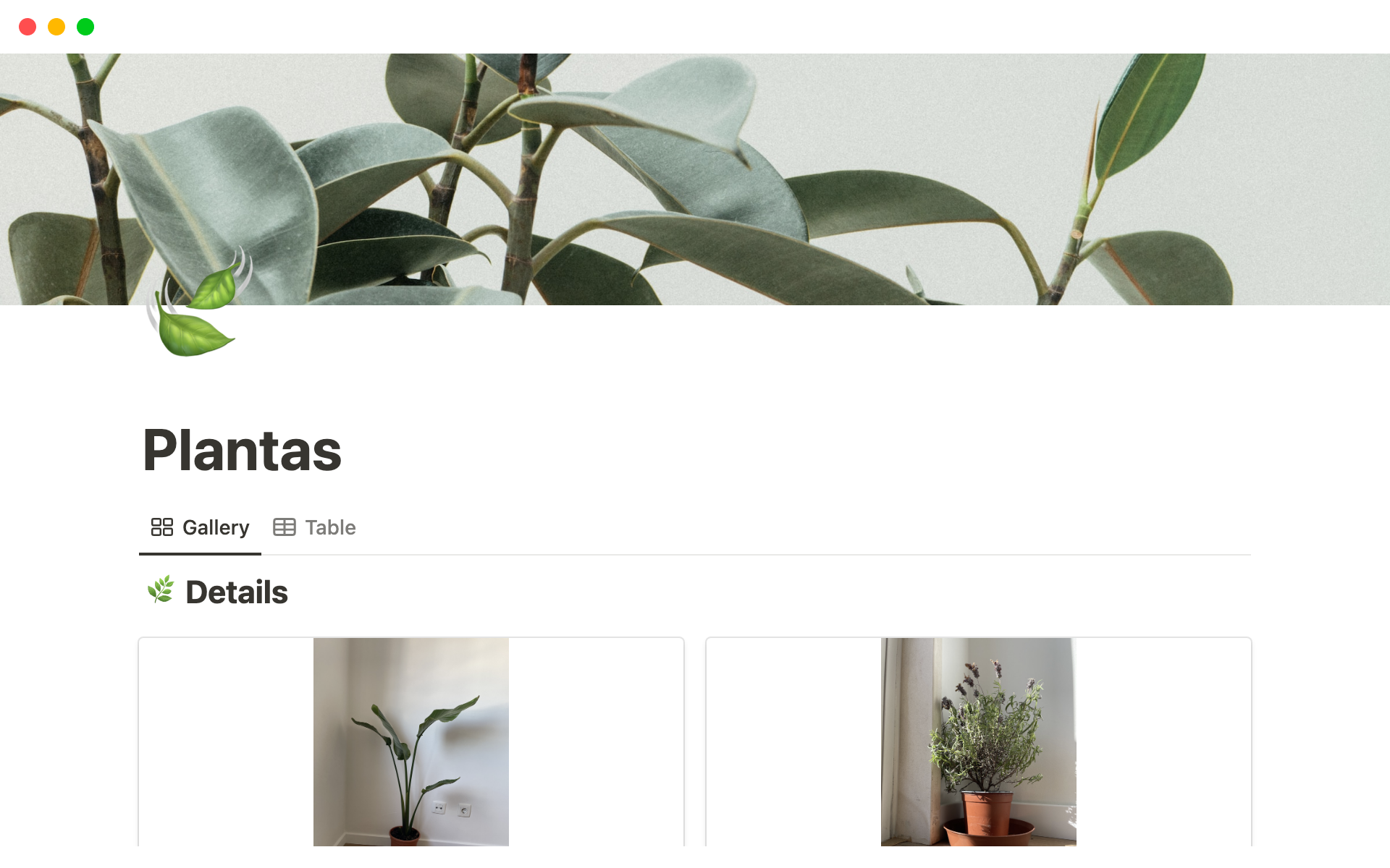 plant-passport-notion-template