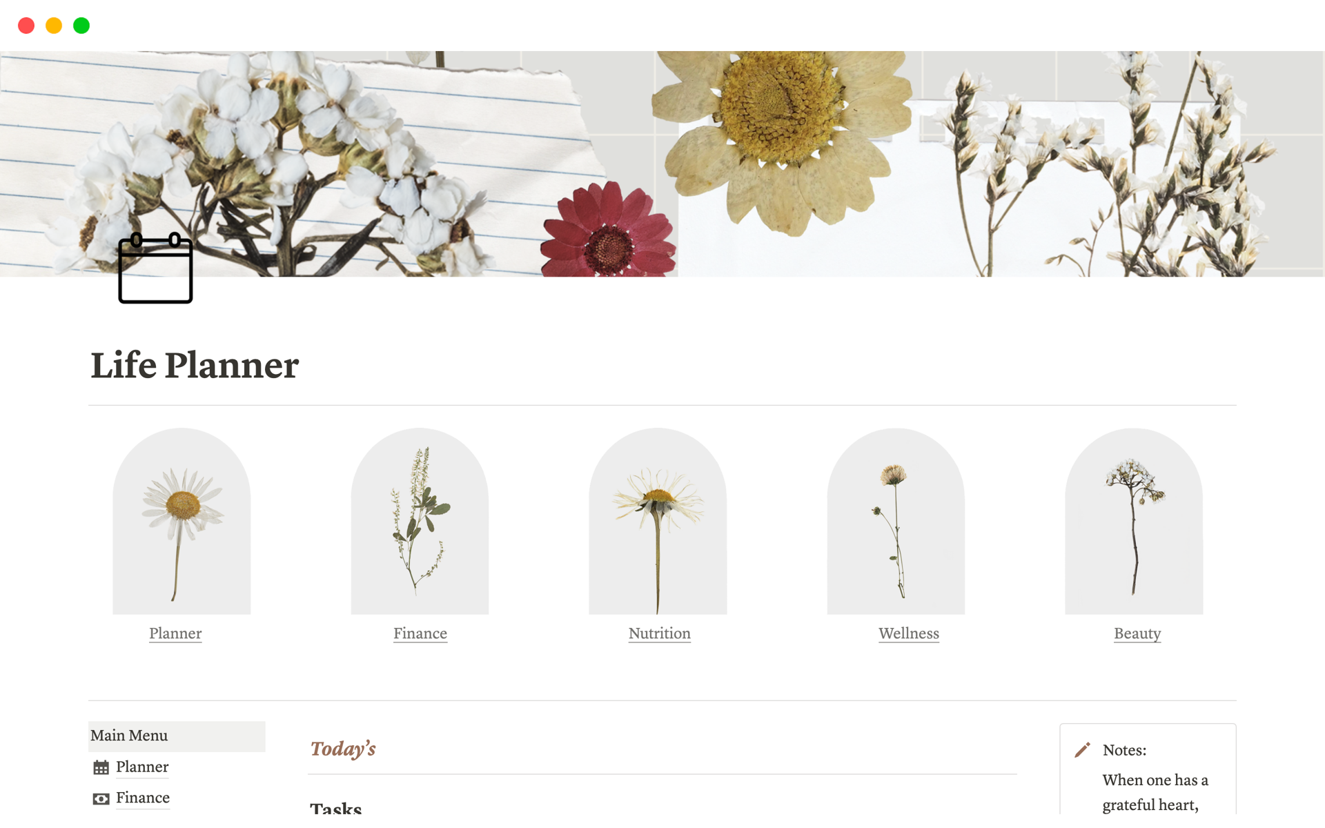 Aesthetic Life Planner | Notion Template