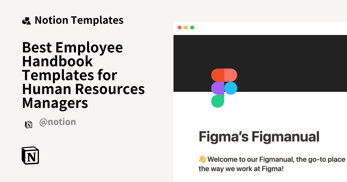 Best Employee Handbook Templates for Human Resources Managers | Notion ...