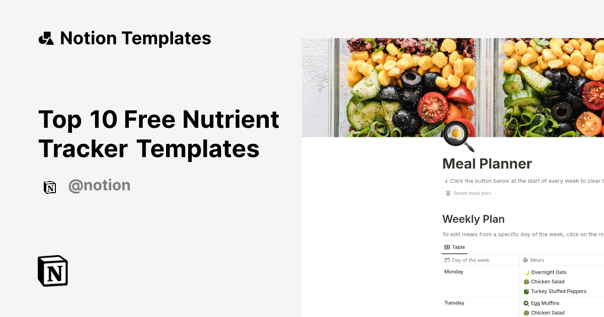 Top 10 Free Nutrient Tracker Templates | Notion Template Marketplace
